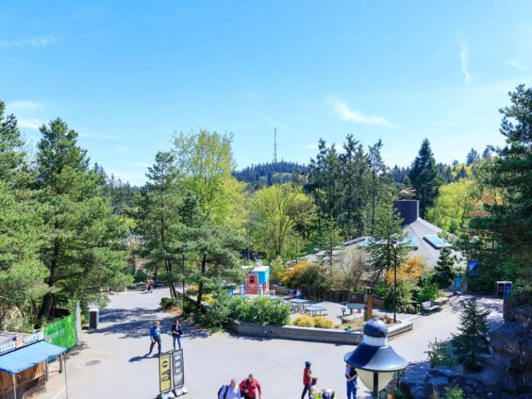 Best 5 Amusement Parks in Oregon - Teeholic